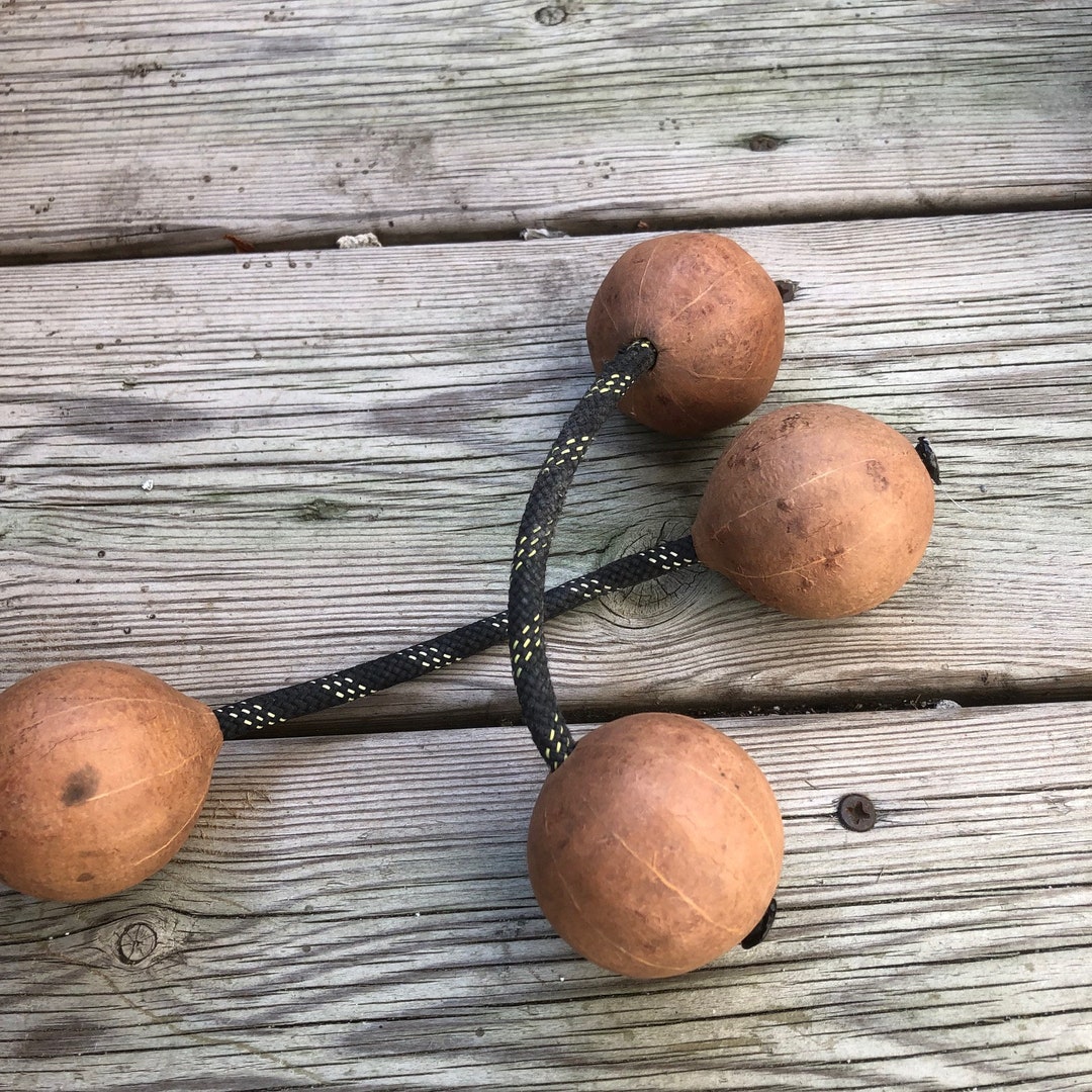 Small Size Aslato, Aslatua, Asalato, Cas Cas,patica, Televi, Natual ...