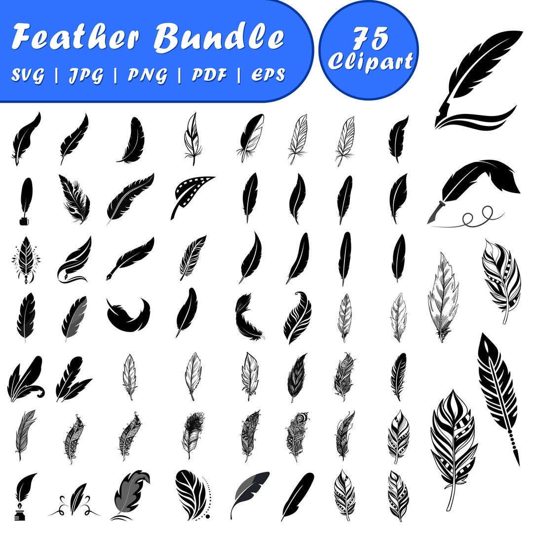 Birds Feather Svg Bundles, Birds Feather Svg Bundles, Feather Svg Png ...