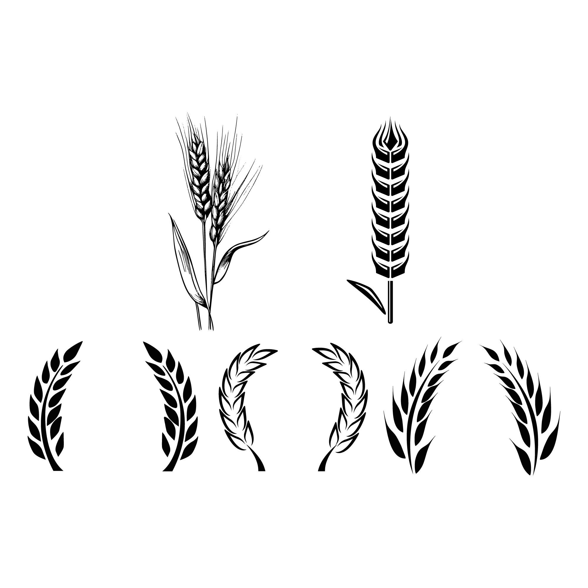 Wheat Svg Bundles, Grain Svg Bundles, Wheat Clipart, Wheat PNG, What ...