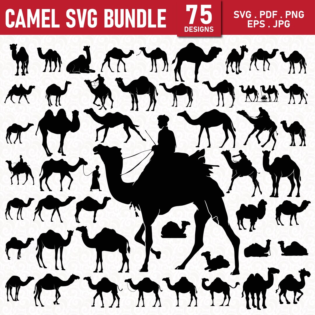 Cute Camel Svg Prints on T Shirts, Camel PNG Mug Designs, Camel Art for ...