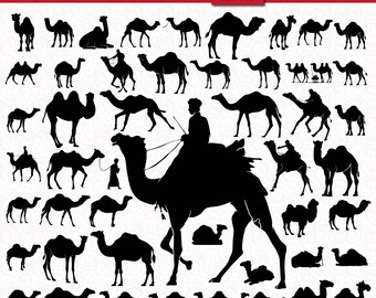 Camel Svg Prints on T Shirts, Camel PNG Mug Designs, Camel Art for ...