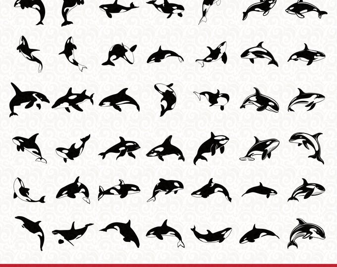 Orca Svg Bundles, Orca PNG, Cute Orca, Orca Silhouette, Printable Orca ...