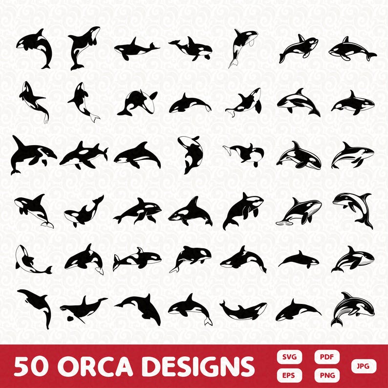 Orca Svg Bundles, Orca PNG, Cute Orca, Orca Silhouette, Printable Orca ...