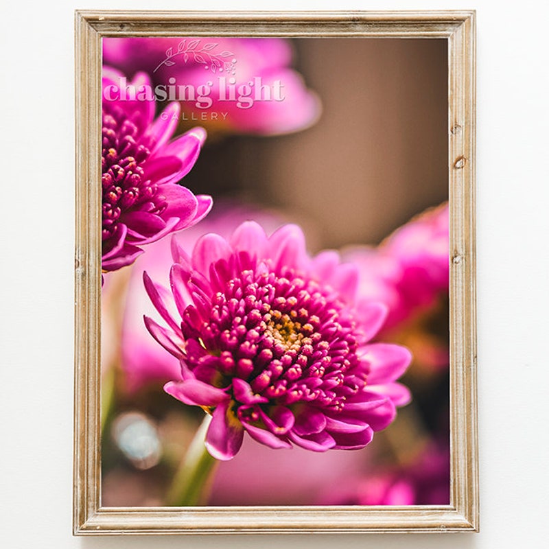 Floral Photography - Etsy