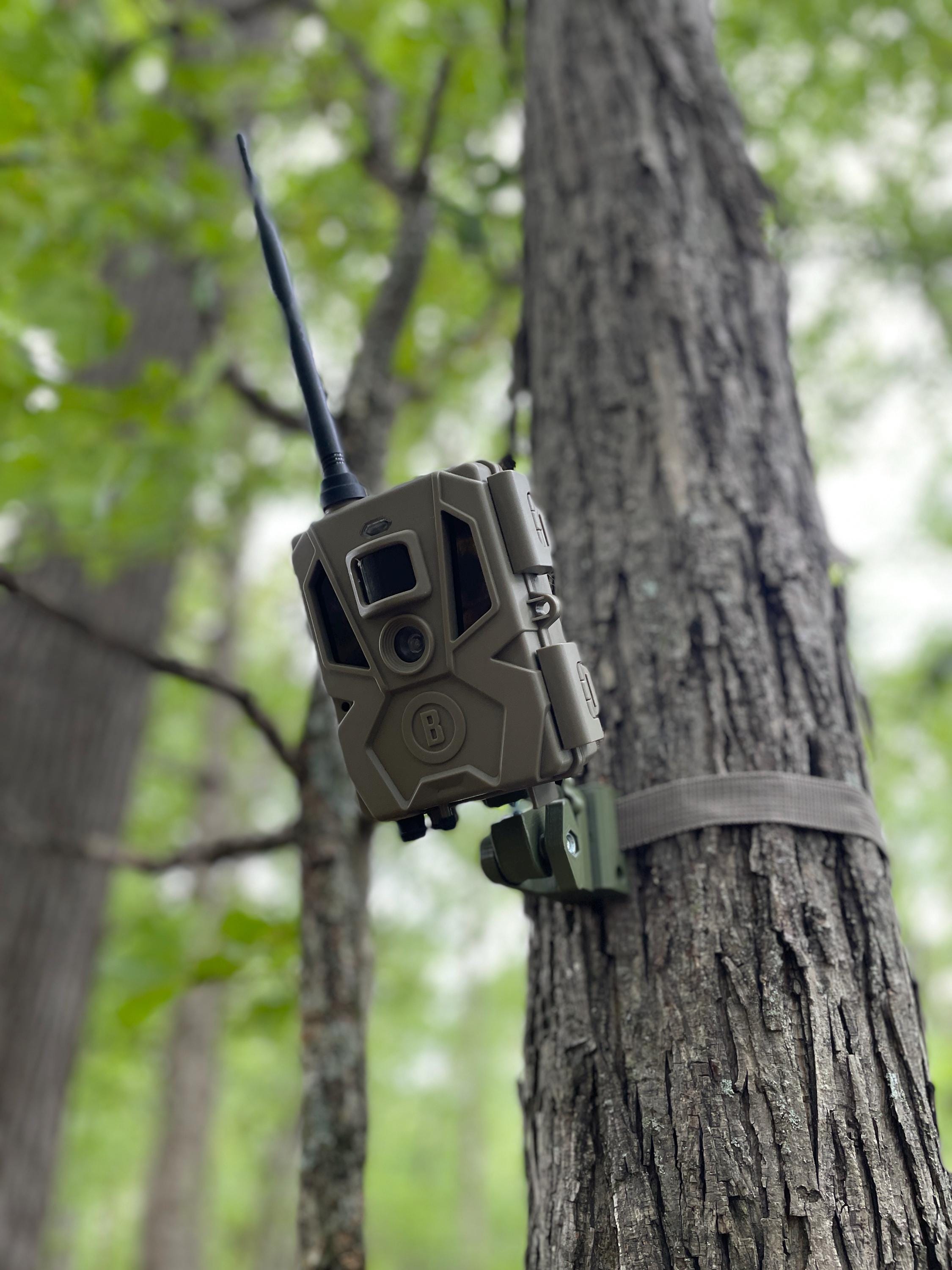 3-way (pan, Tilt, Level) Public Land Trail Camera Mount: Adjustable ...