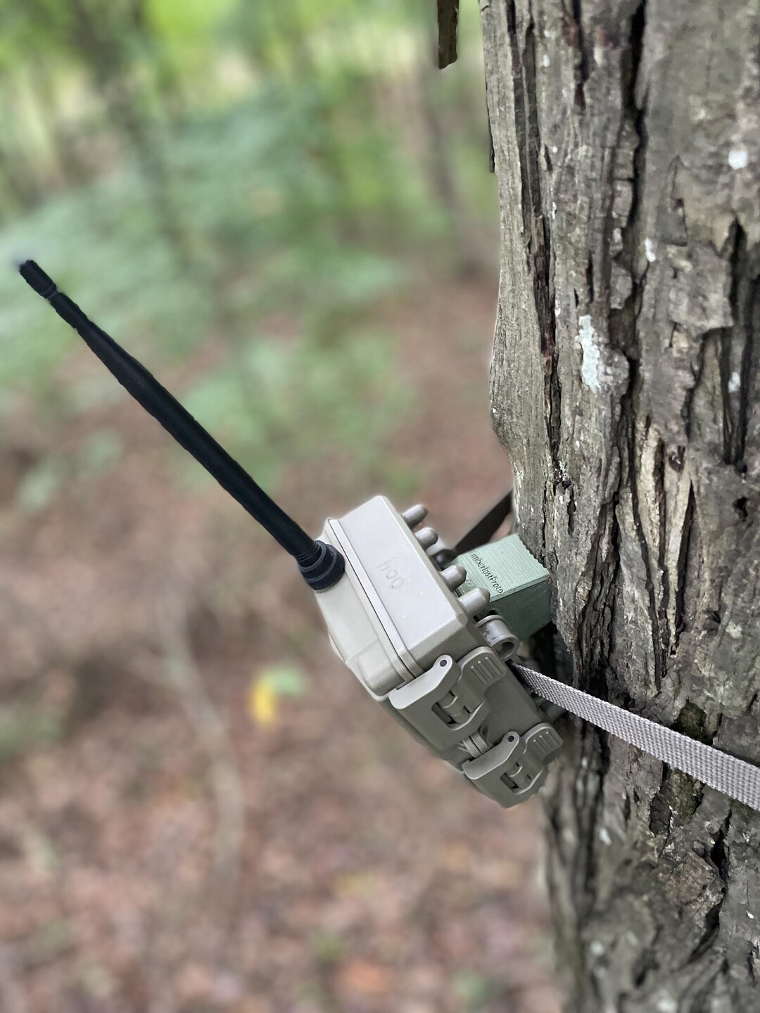 10ft Fixed Angled Trail Camera Mount 3-pack - Etsy