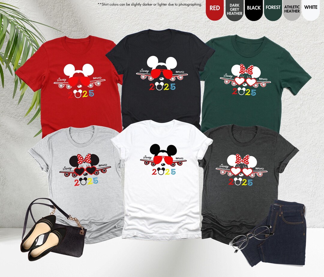 Disney Bound Airplane Shirt, Disney Plane Trip, Disney Vacation 2025 ...