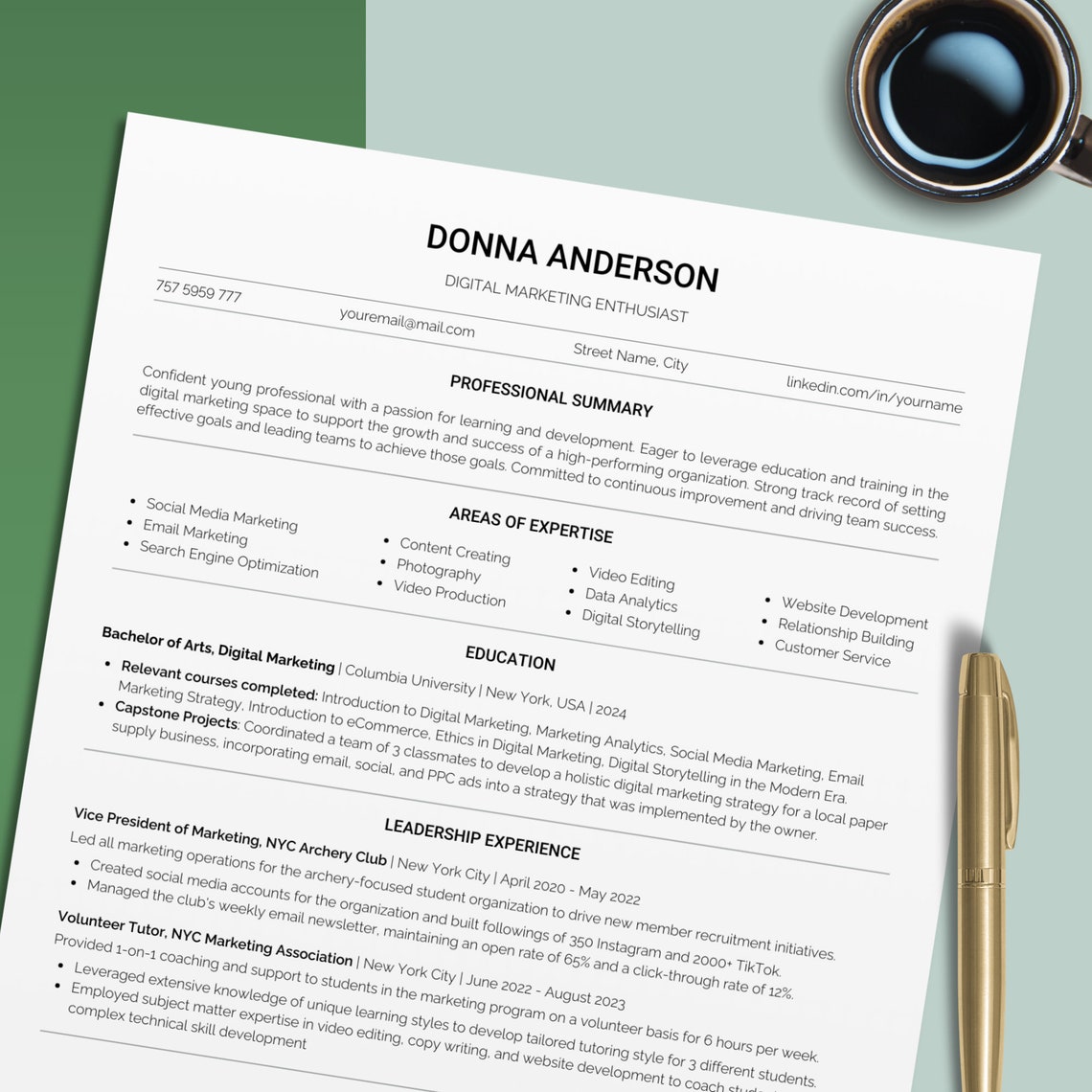Student Resume Template Entry Level Junior CV Template for Job ...
