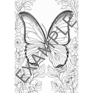 Butterfly Coloring 100 Pages Collection 3 - Etsy