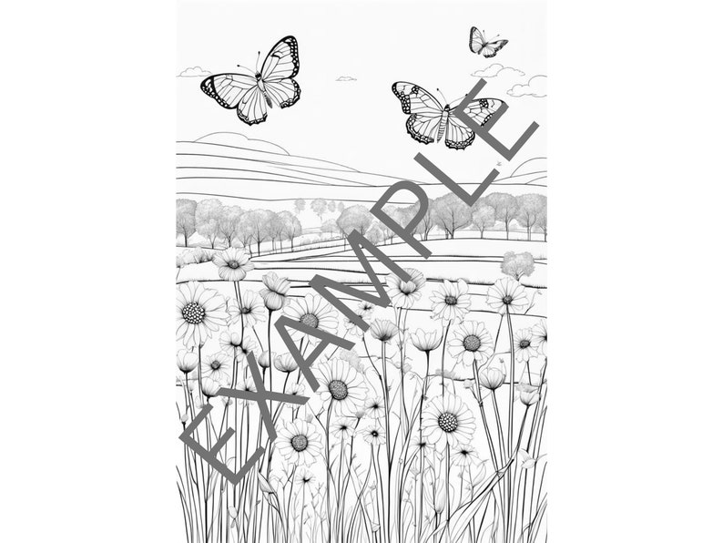 Butterfly Coloring 100 Pages Collection 3 - Etsy