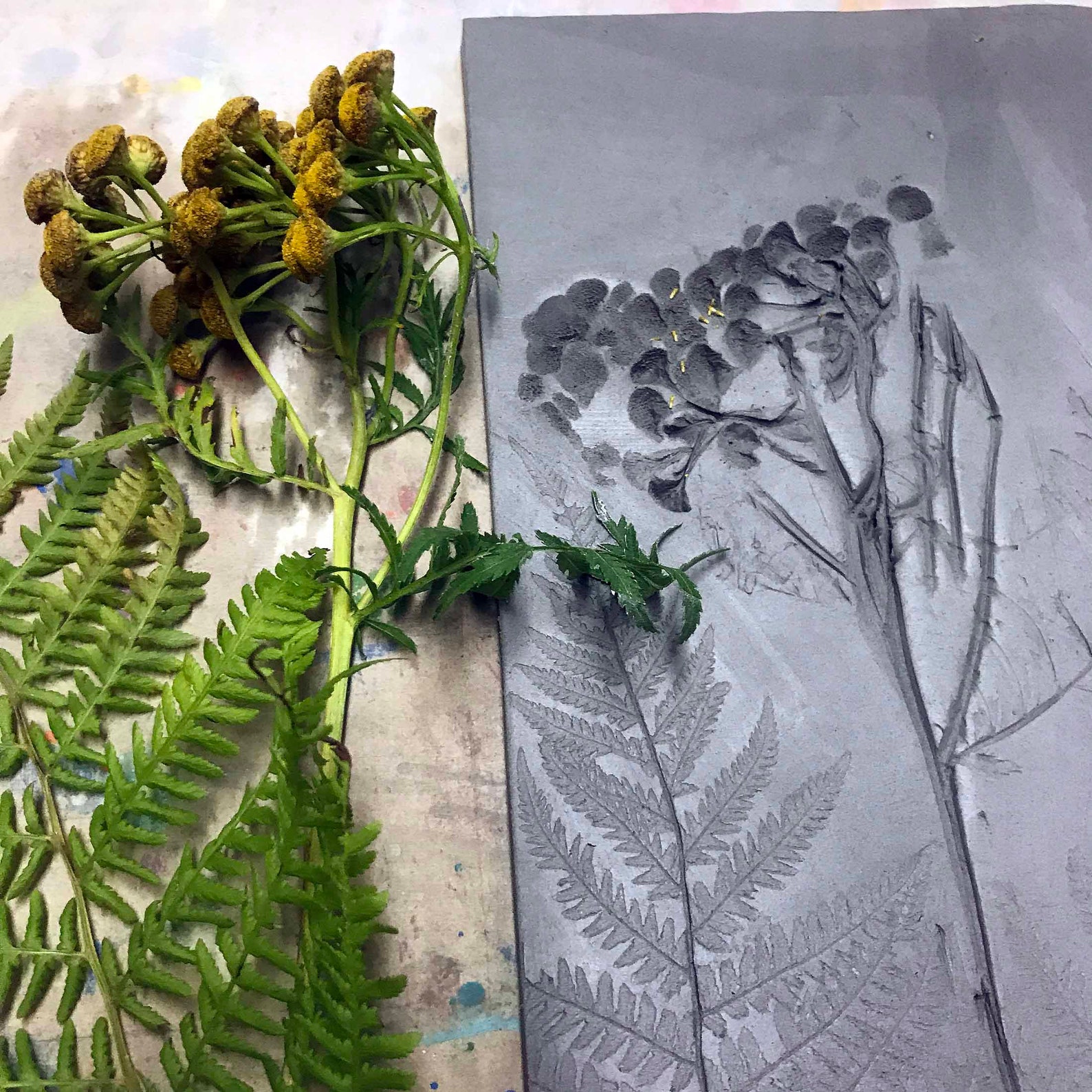 Tiny Wild Flowers Plant Impressed Ceramic Tiles Tile or - Etsy