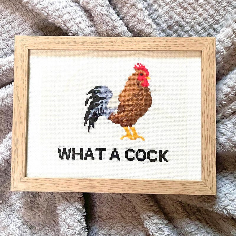 Rude Cross Stitch - Etsy UK