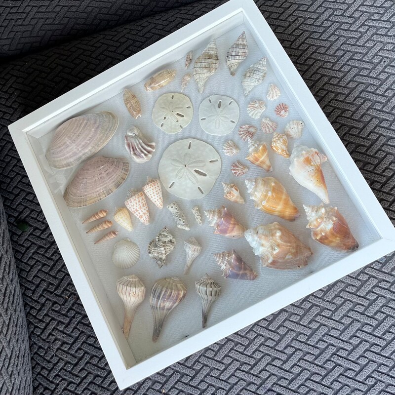 Shell Art Shadow Box - Etsy