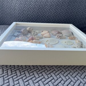 Sea Shell Shadow Box - Etsy