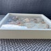 Sea Shell Shadow Box - Etsy