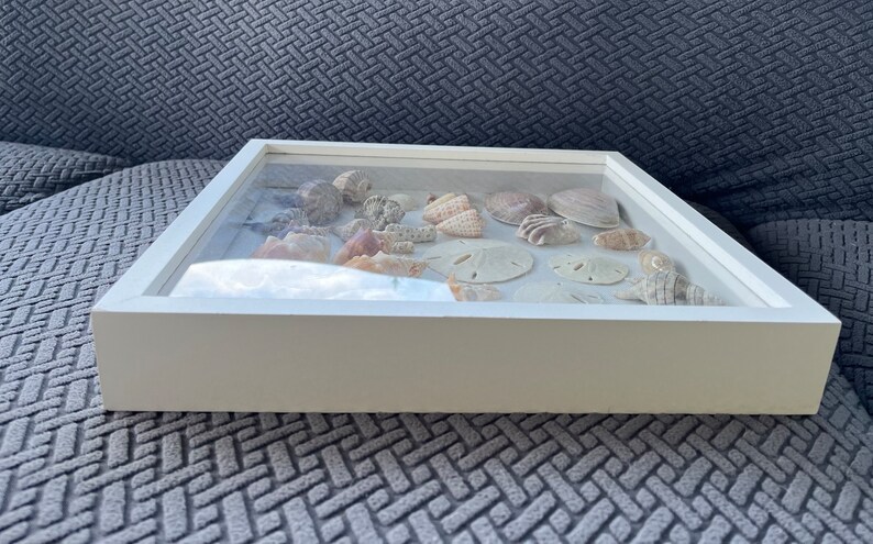 Sea Shell Shadow Box - Etsy