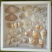 Sea Shell Shadow Box - Etsy