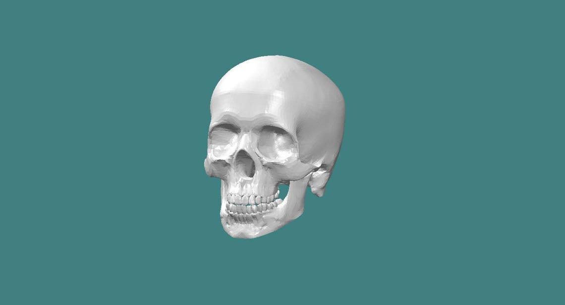 3D Skull STL File: Ready to Print Decor (digital Download) - Etsy