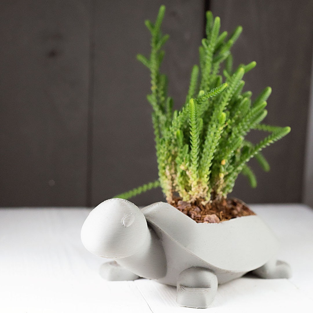 3D Turtle Planter, 3D Turtle Vase, Turtle Planter STL File, Gift With ...