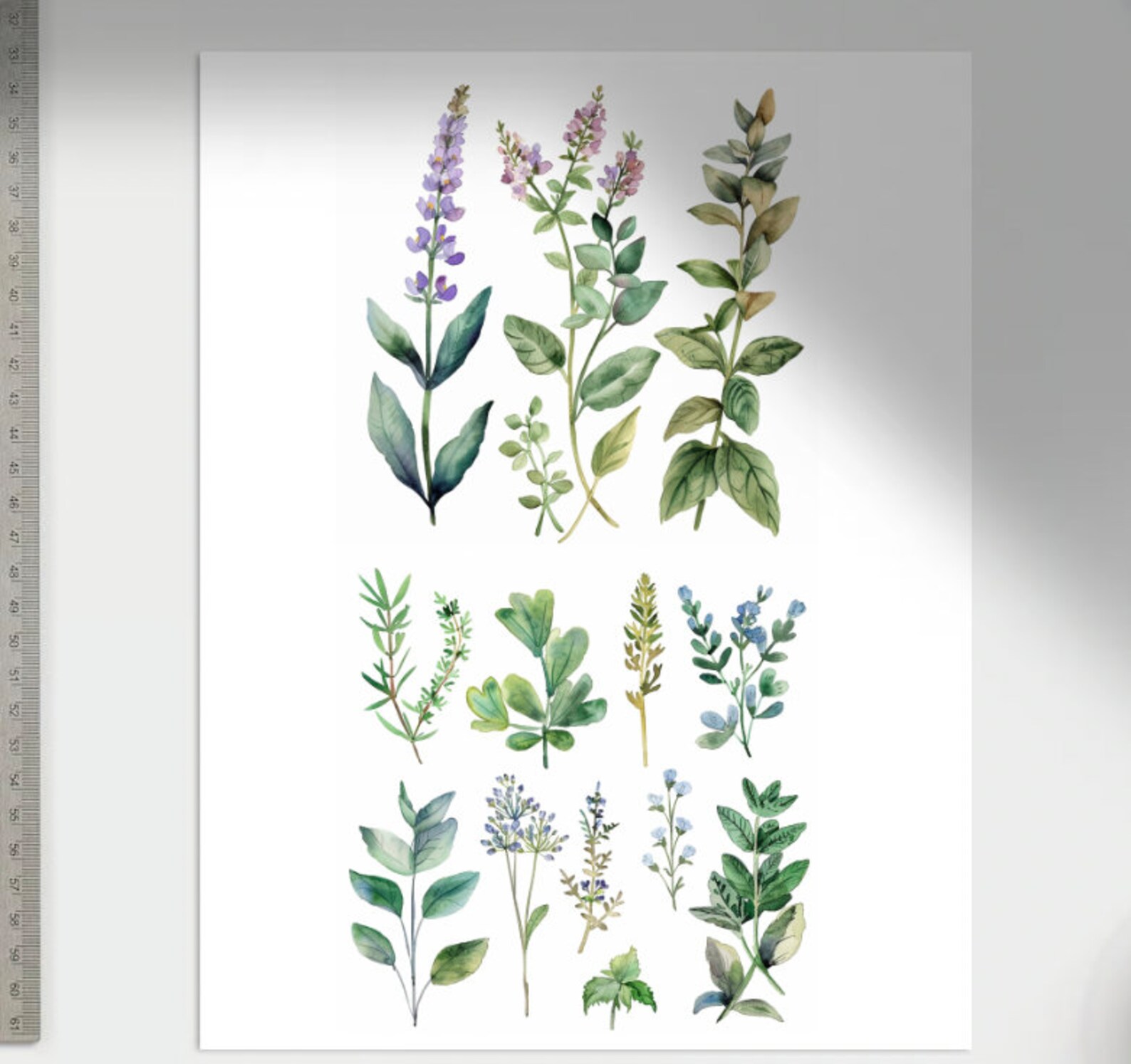 Vintage Watercolor Plants and Greens Scrap and Junk Journal Pages for ...