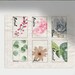 Botanical Nature Trading Cards Note Art Journal Cards ATC Vintage Mini ...
