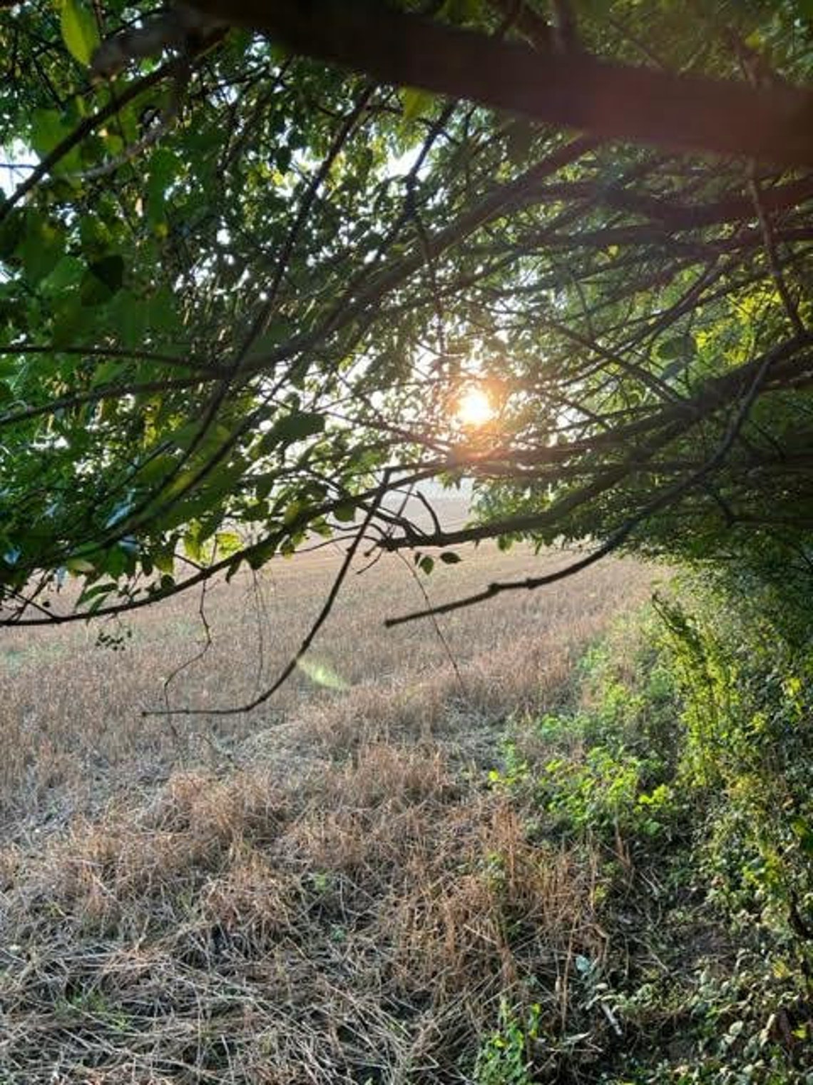 Get Outside! Mindful Photo Collection Nature Photos Nature Photography ...