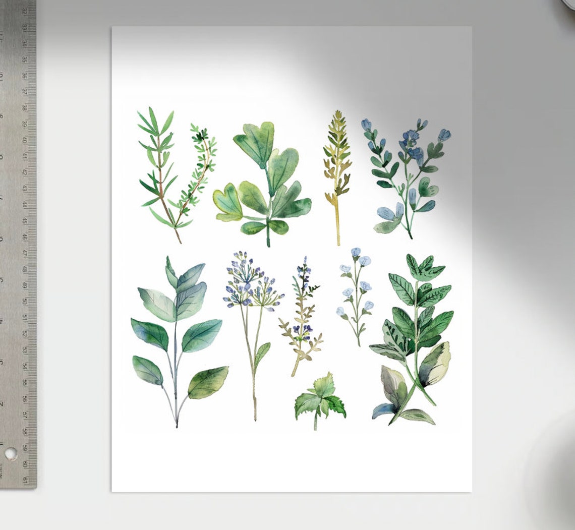 Vintage Watercolor Plants and Greens Scrap and Junk Journal Pages for ...