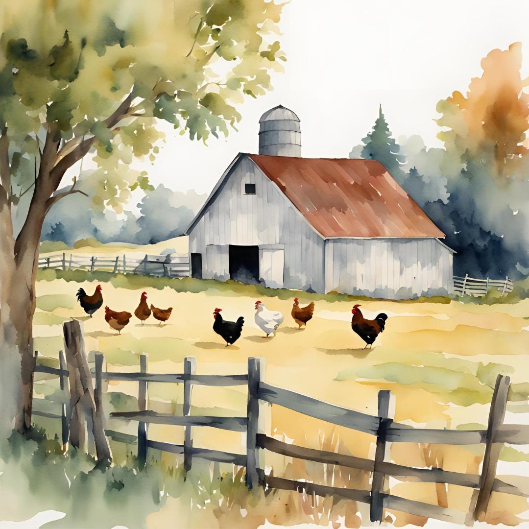 Chicken Farms and Farming Watercolor Images Open Pastures and Vintage ...