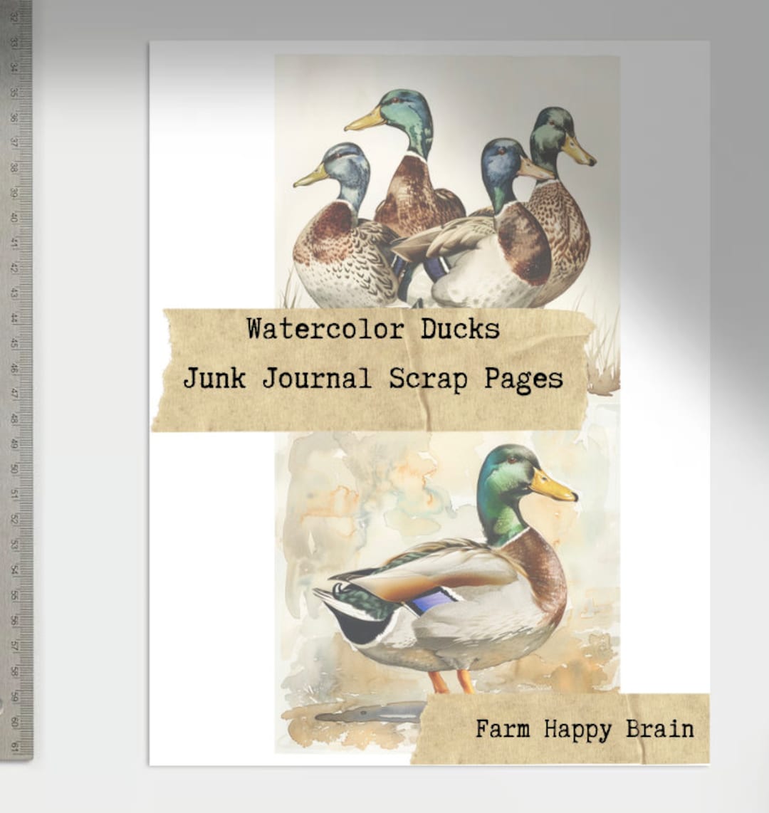 Vintage Ducks Scrap Junk Journal Pages for Scrapbooking and Art ...
