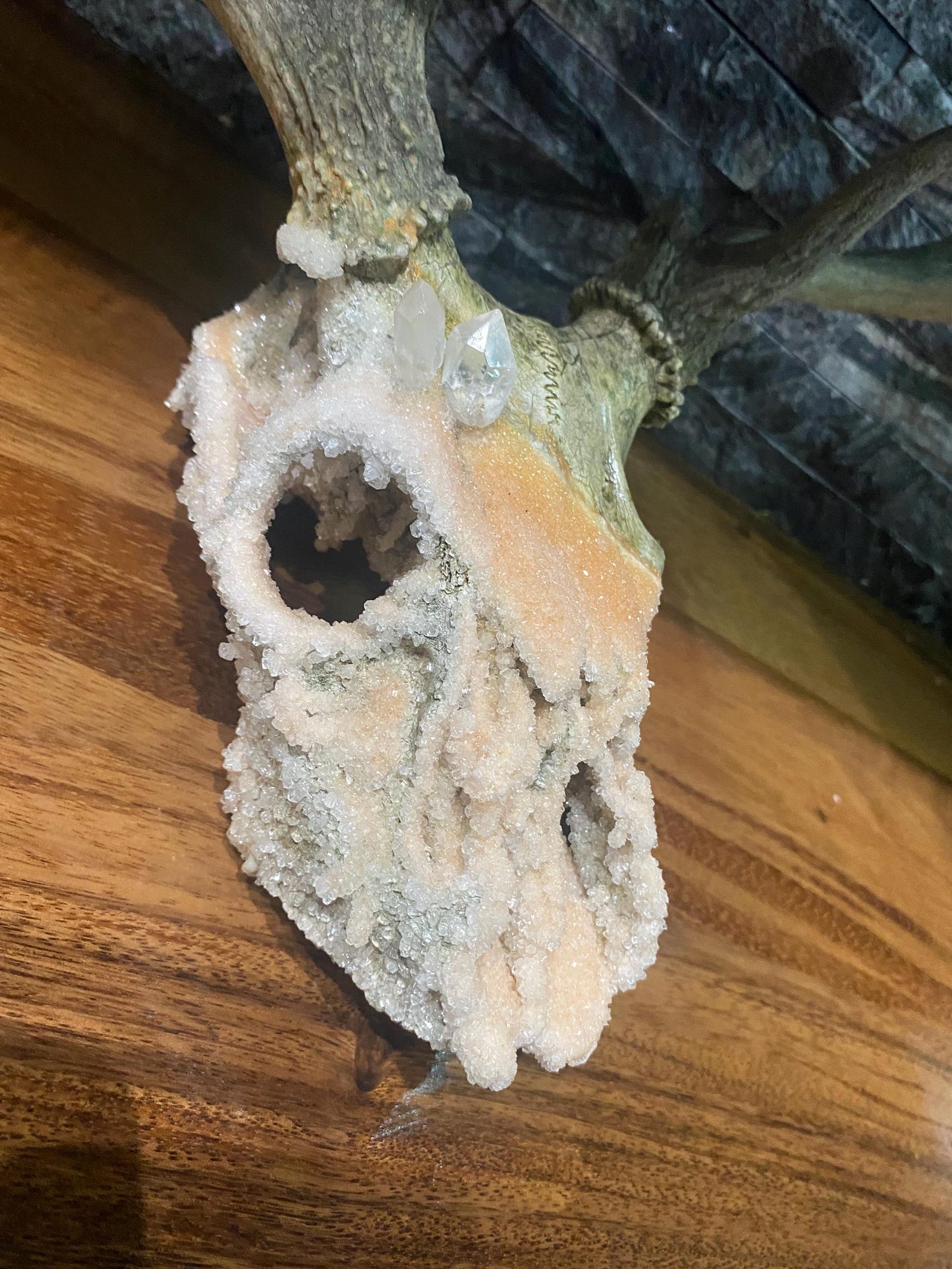 Creamsicle Salt Crystal Buck Skull With Quartz Points, Moss, Witchy ...