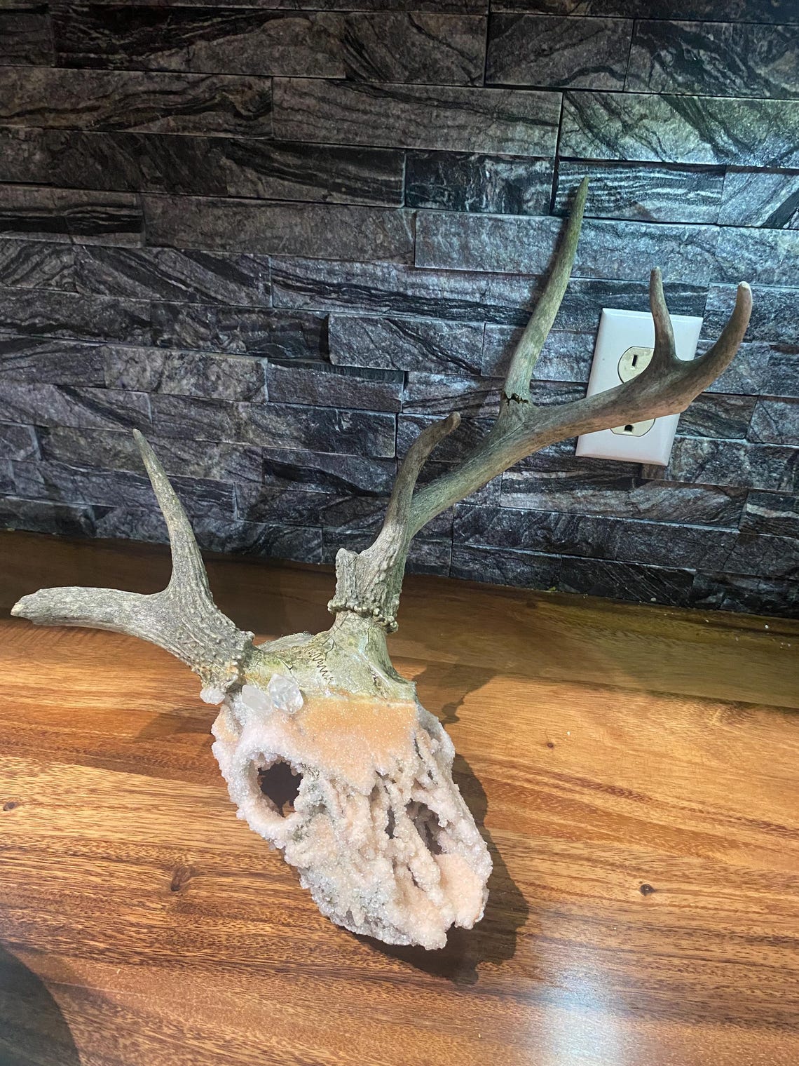 Creamsicle Salt Crystal Buck Skull With Quartz Points, Moss, Witchy ...