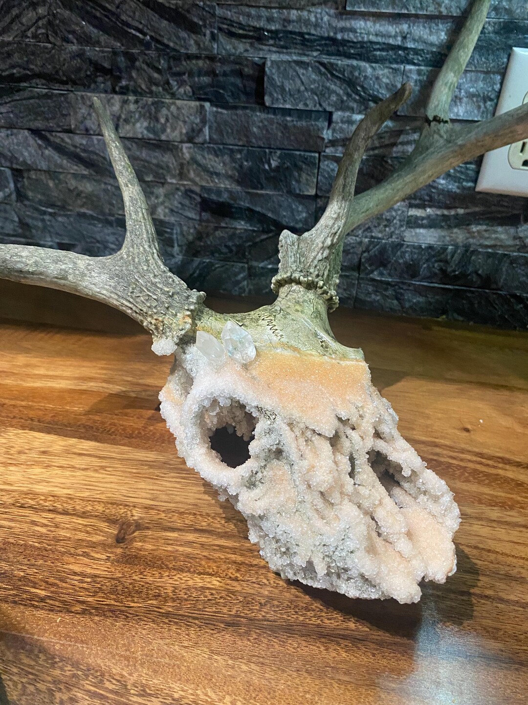 Creamsicle Salt Crystal Buck Skull With Quartz Points, Moss, Witchy ...