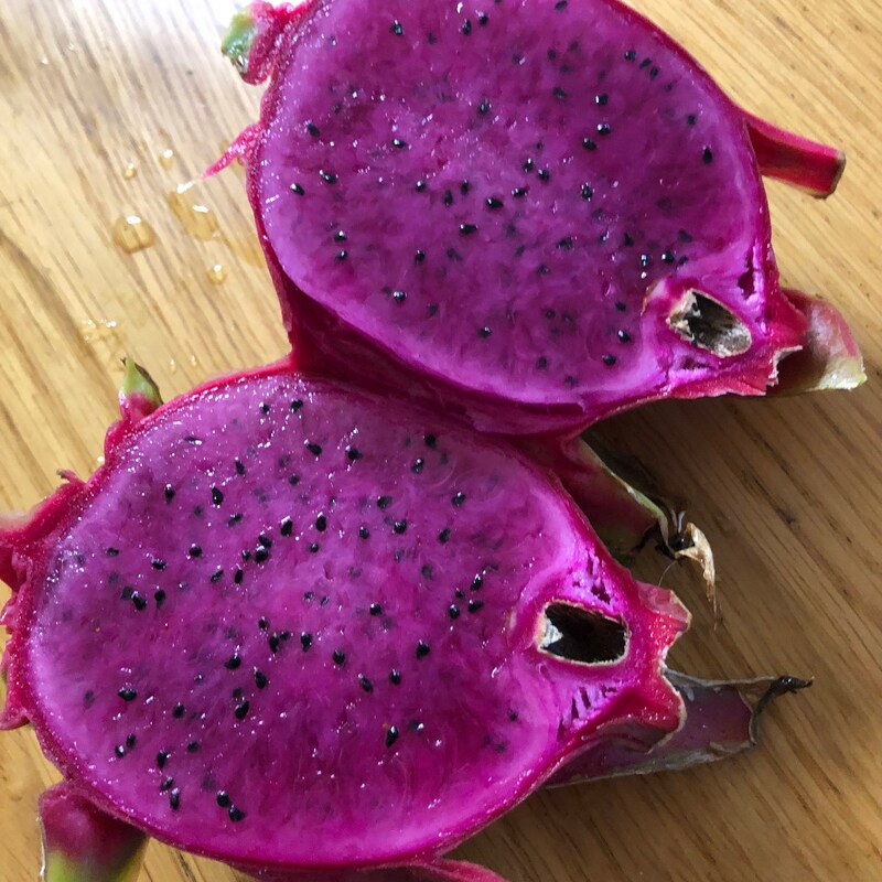 Dragon Fruit Plant - Etsy