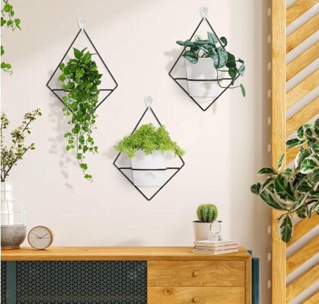 Set of 3 Wall Mounted Planter Handmade Wall Planter Indoor Wall Planter ...
