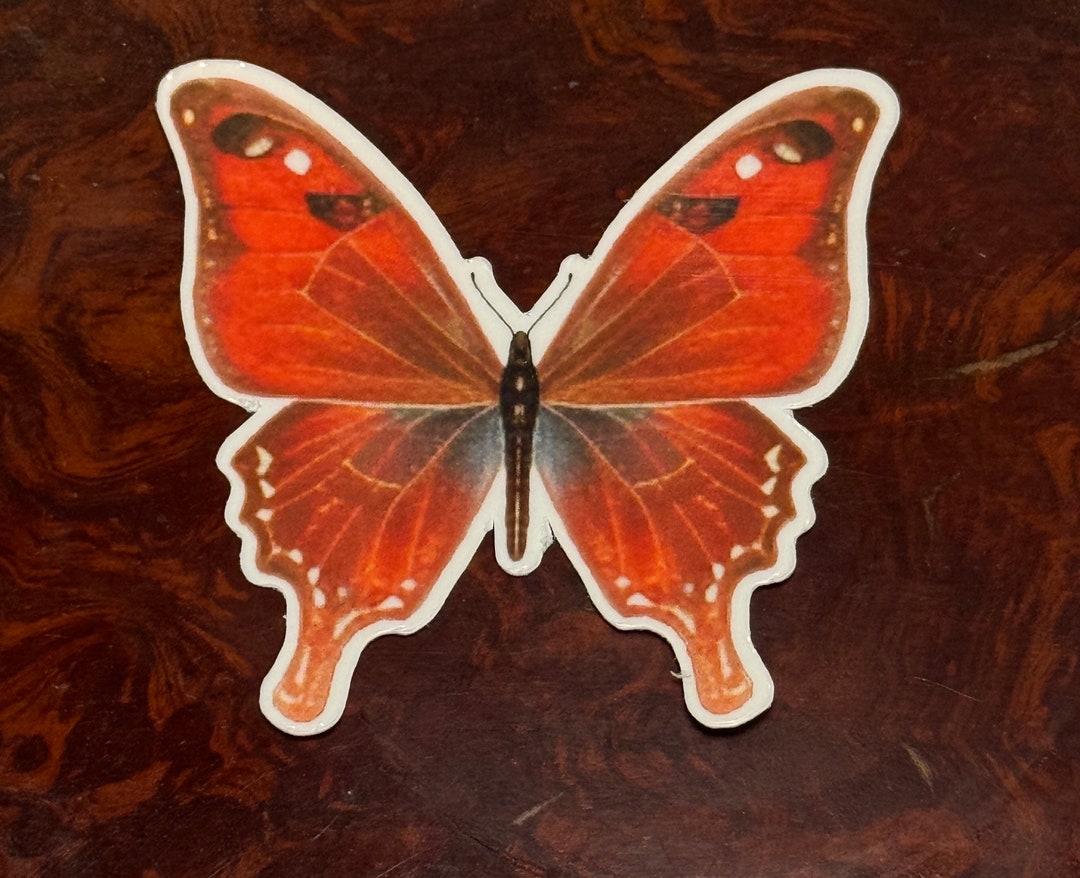 Vermillion Butterfly Vinyl Sticker - Etsy