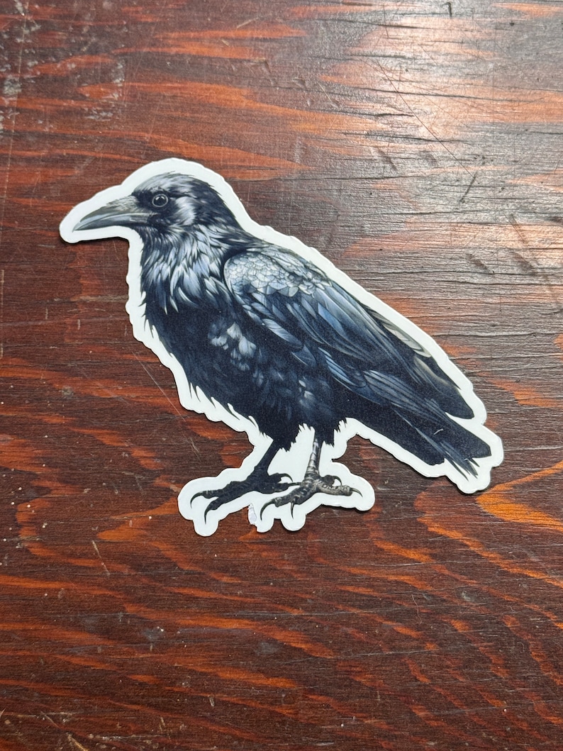 Crow Vinyl Sticker- Corvus Sticker - Etsy