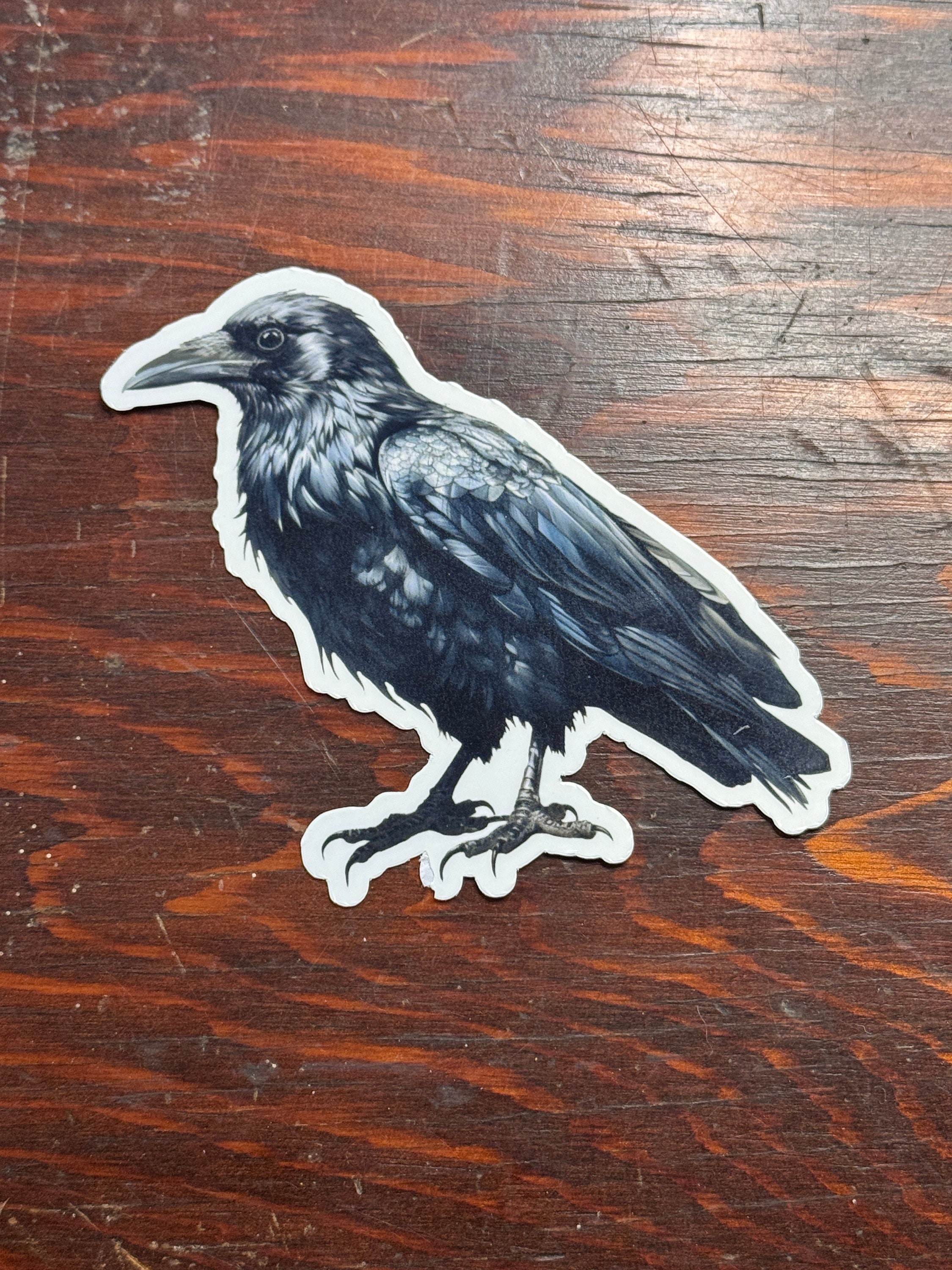 Crow Vinyl Sticker- Corvus Sticker - Etsy