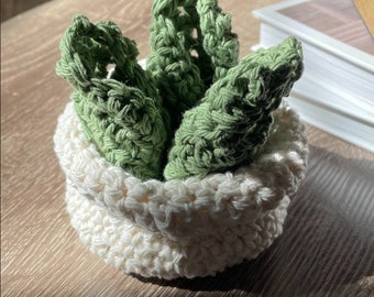 Crochet Succulent Coaster Pattern - Etsy