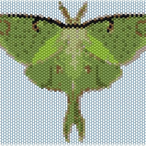Small Luna Moth PDF Pattern and Tutorial - Etsy