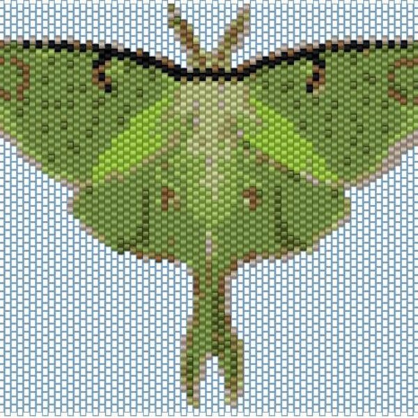 Moth Bead Pattern - Etsy