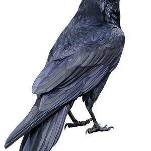 Raven Art Print, Hand-illustrated, Wall Decor, Unframed, A6, A5, A4, A3 ...