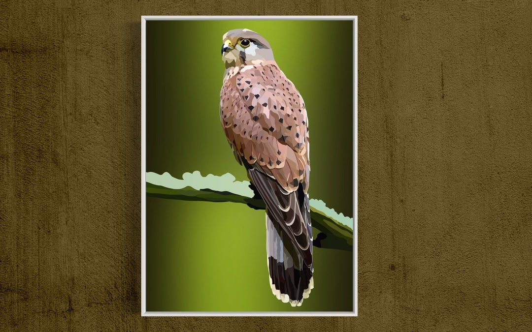 Hawk Portrait, Hand-illustrated, Digital Art Print, Unframed, A6,A5,A4 ...