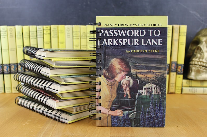 Mystery Book Journal-blank journal made from a recycled | Etsy