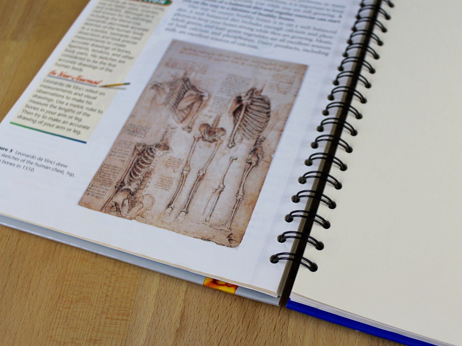 Science Explorer Recycled Book Journal Human Biology and | Etsy