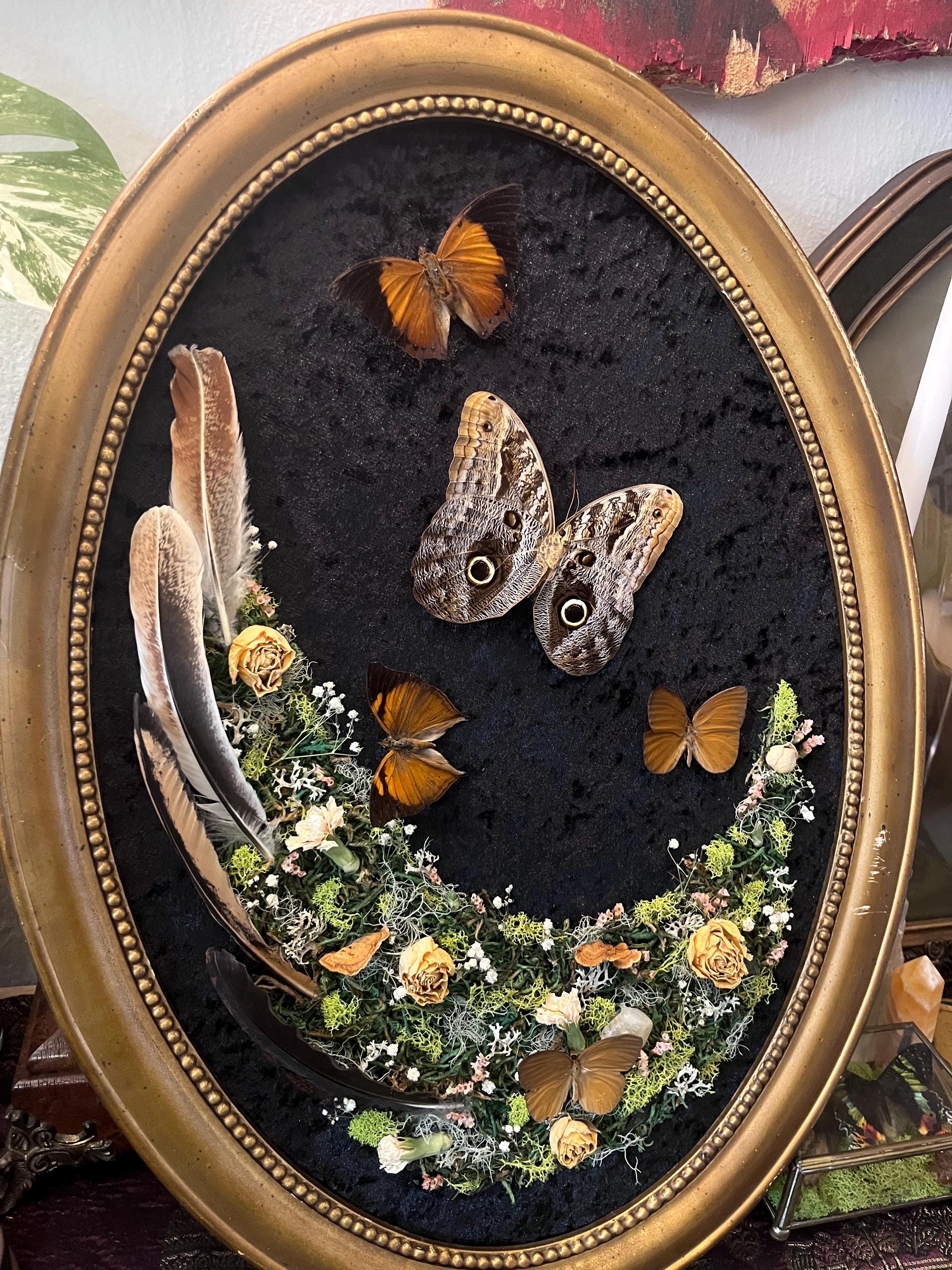 Bubble Framed Butterflies