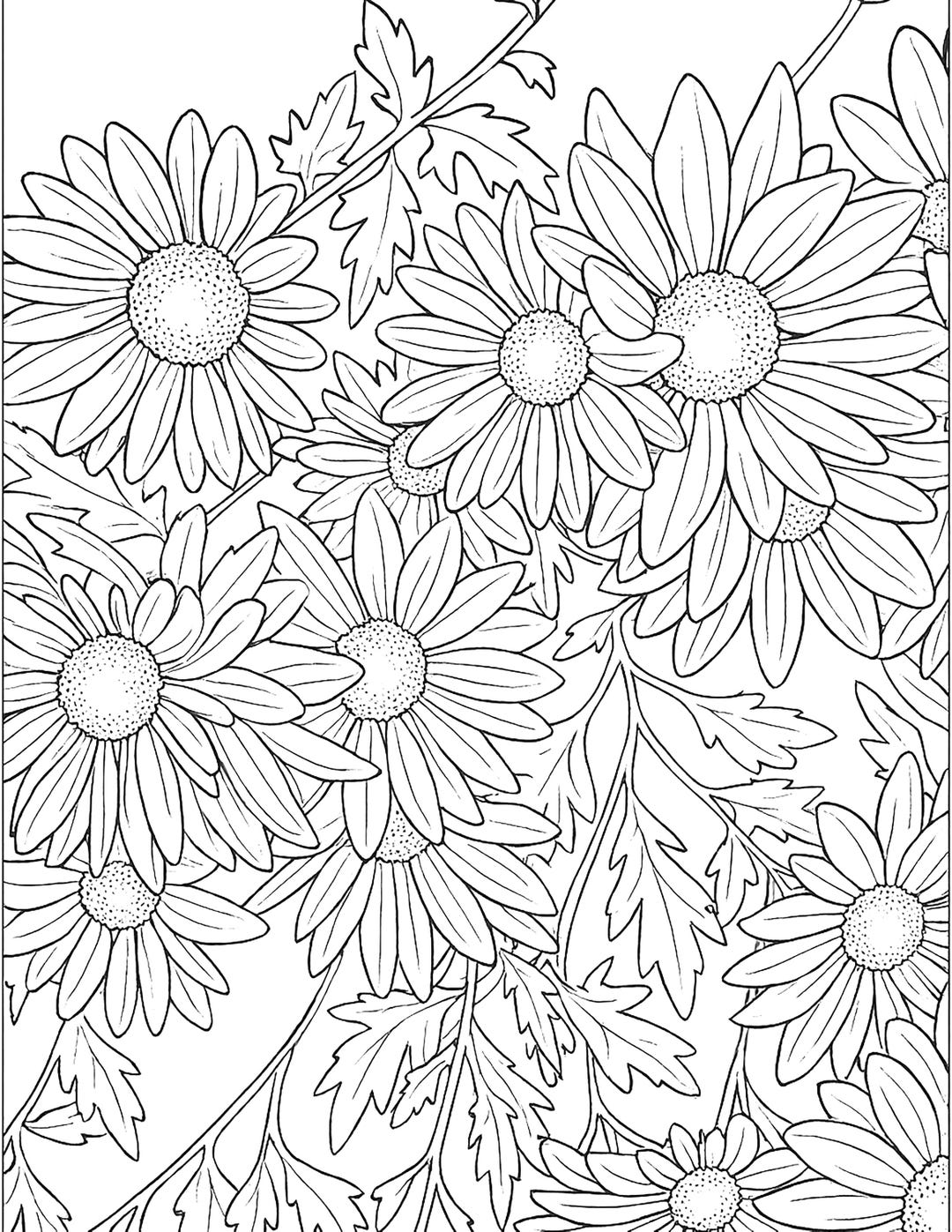 Daisy Flower Coloring Page Printable – Elegant Floral Line Art ...