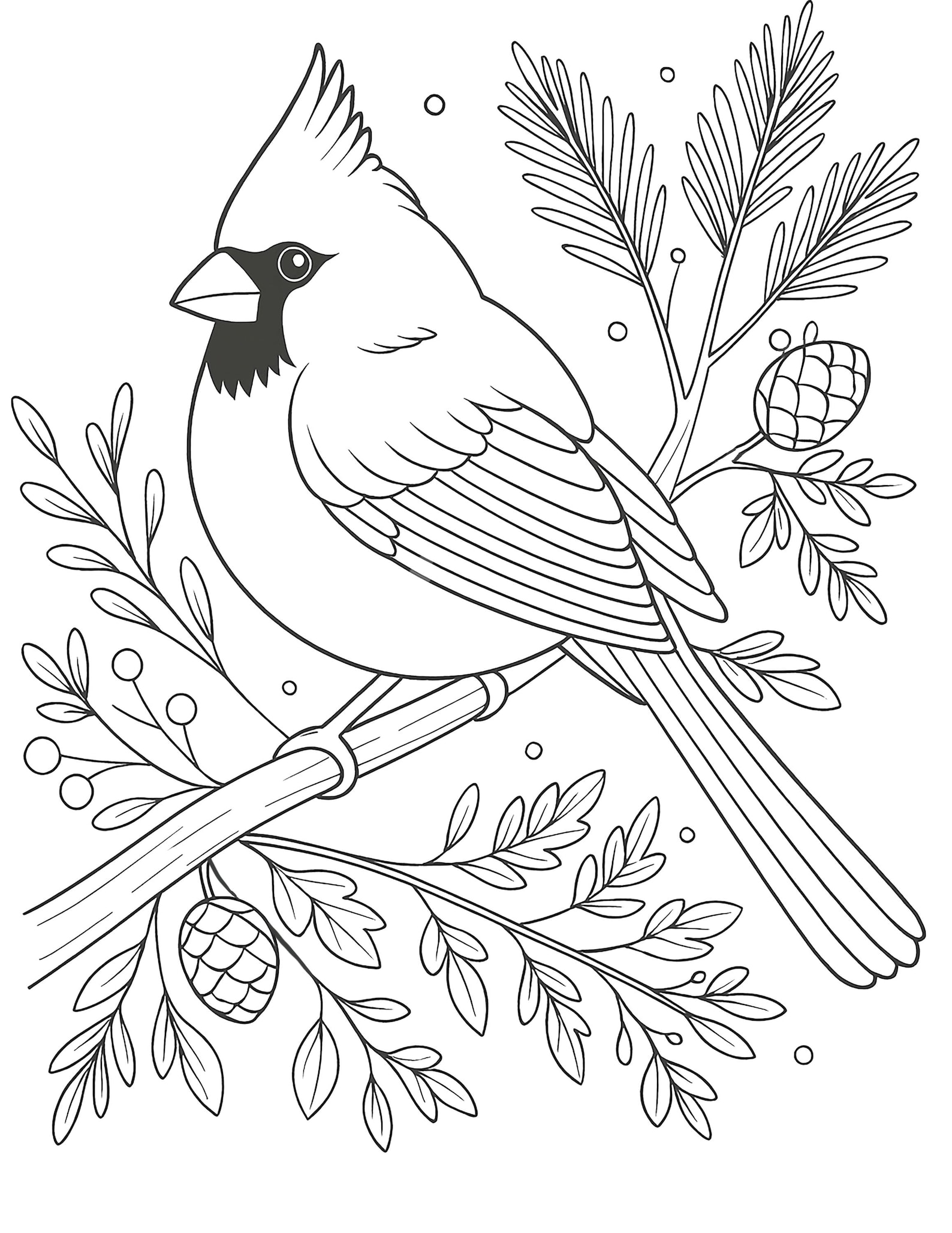 Christmas Cardinal Coloring Page – Winter Bird Line Art Printable ...