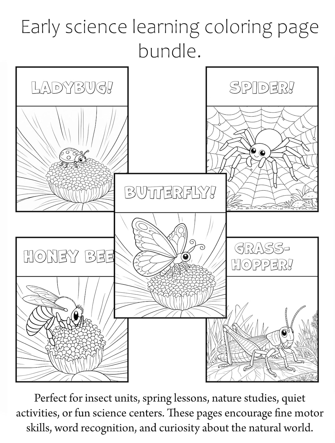 Bugs Coloring Page Bundle for Preschool Kids Bug Science Printables ...