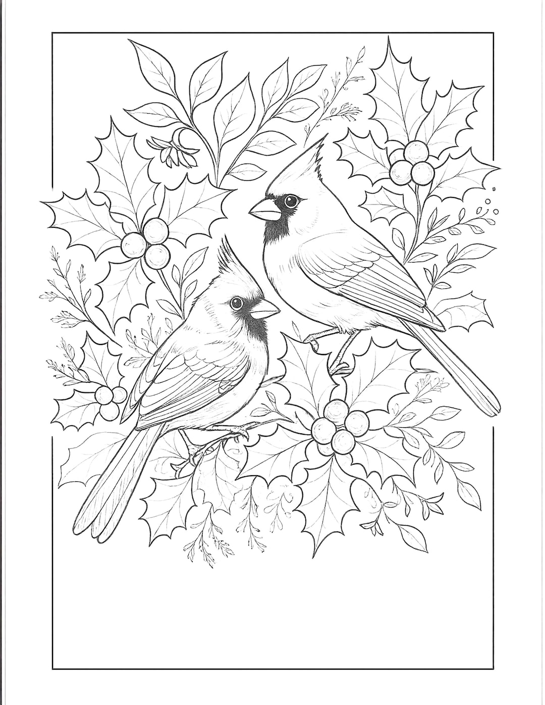 Christmas Cardinal Coloring Page – Winter Bird Line Art Printable ...
