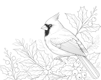 Christmas Cardinal Coloring Page – Winter Bird Line Art Printable ...